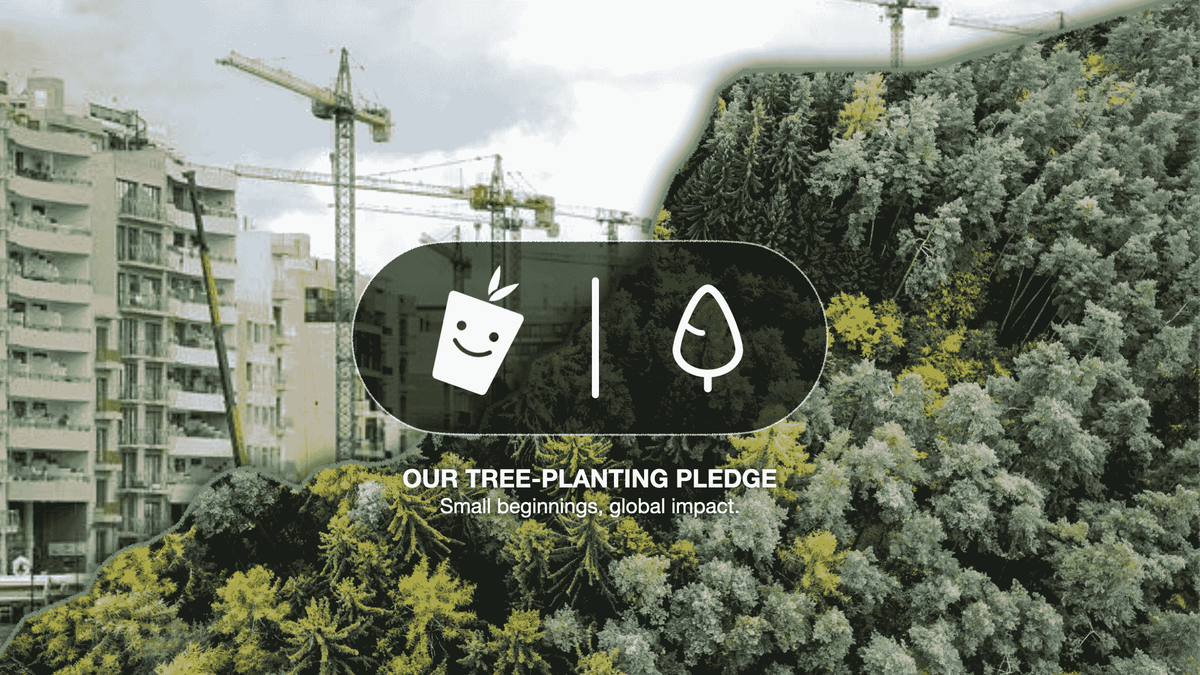 Our Tree-Planting Pledge: Small beginnings, global impact – Happy Pot
